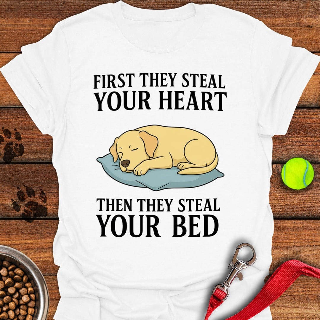 Labrador Stealing Bed – Labs of Love