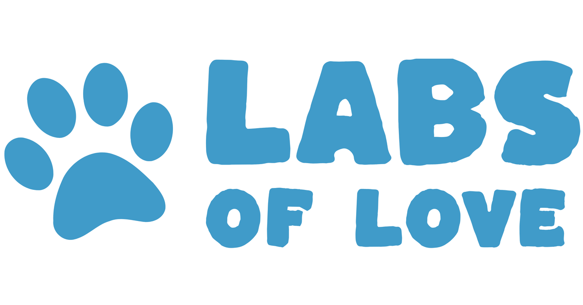 Labs of Love - Labrador-Themed Graphic Shirts for Dog Lovers